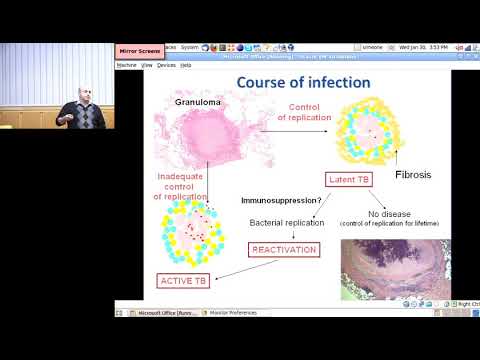 CCMB SEMINAR 01/30/2013 - Simeone Marino, Ph.D.