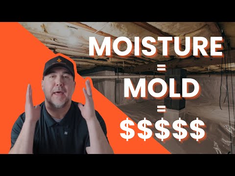 Understanding Wood Moisture Content