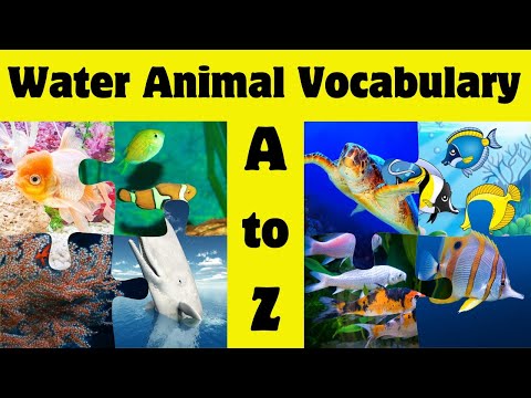Water Animal Vocabulary A to Z Full Version | Sea Animal Vocabulary | Marine Animal Names A to Z