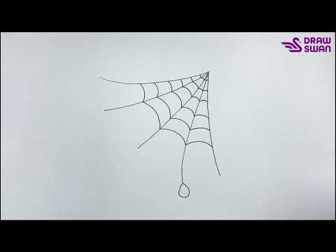 How to draw a spider web in the corner