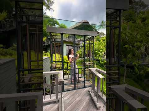 The coolest ELEVATOR in Bali! #bali #ubud