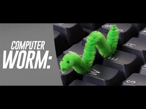 Computer WORM what it is and how it differs from a Virus and how you get it
