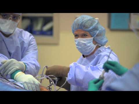 General Orthopedic Specialists