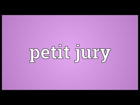Petit jury Meaning