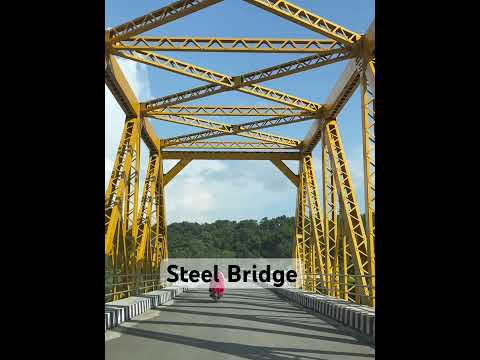 Steel Bridge Design