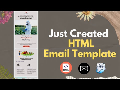 How to Design a Responsive HTML Email Template from Scratch 2023 | Create HTML Newsletter