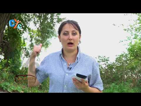Women in the Bible S01 E03: Sarai and Hagar