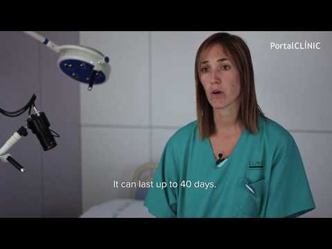 Pregnancy and Childbirth | PortalCLÍNIC