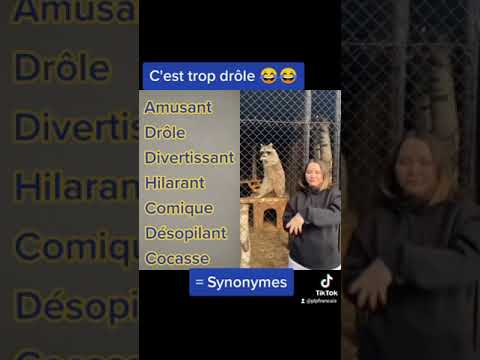 Qu'est-ce qu'un synonyme ? Voici un exemple de synonyme du mot drôle.