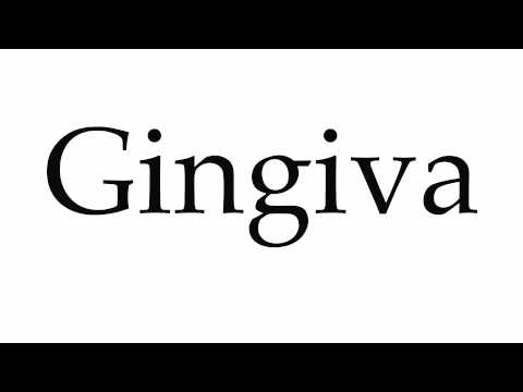 How to Pronounce Gingiva