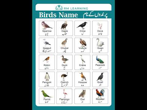 Birds name in English and Urdu #learnbirds #birdsnames