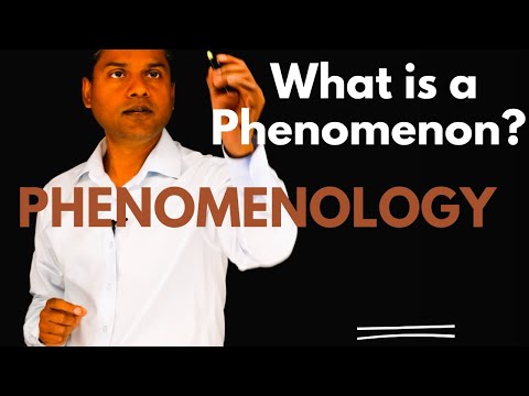 What is a Phenomenon in Phenomenology?