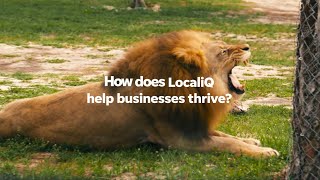 LocaliQ Reviews, Cost & Features | GetApp Australia 2025