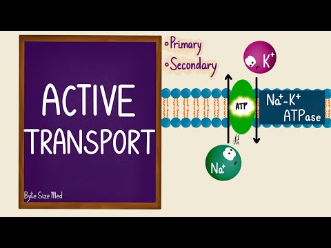 Active Transport | Transport Across the Cell Membrane | Sodium Potassium Pump | Cell Physiology