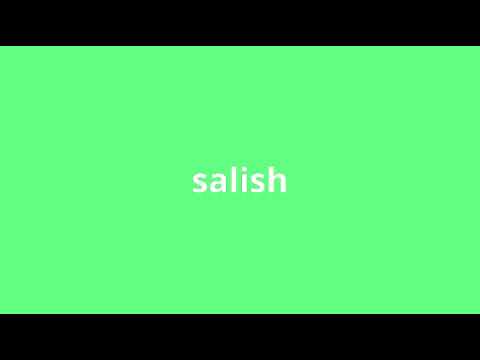 what is the meaning of salish.