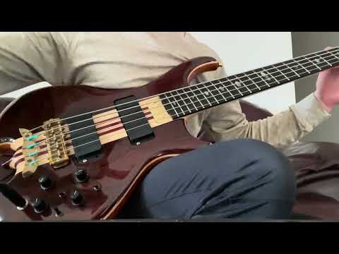 Alembic Signature Deluxe Mark 5 String Bass Guitar Cocobolo | Reverb