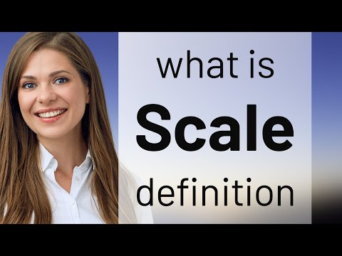 Scale — definition of SCALE
