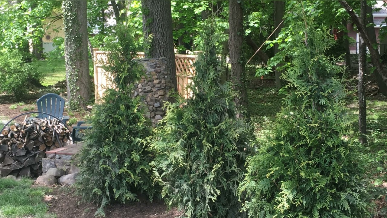 TerraTech Landscape Design LLC | Landscaper & Lawn Care in Midland Park, Wyckoff, Ridgewood