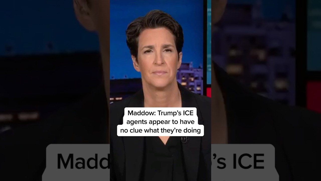 Maddow: Trump's ICE agents appear to have no clue what they're doing