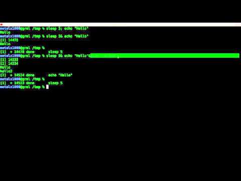 Putting Processes in the Background Part 2 Linux Shell Script Tutorial