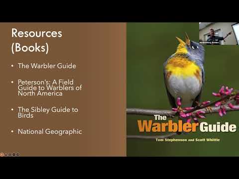 Warblers: Who & Where are They