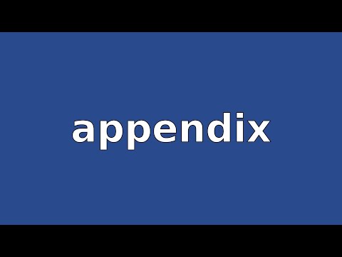 APPENDIX - Meaning and Pronunciation