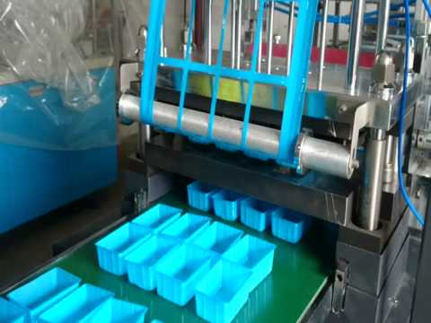 Tray Forming Machine at Best Price in India