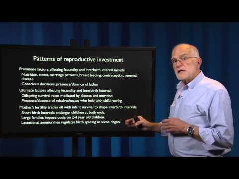 2.9 - What is a patient? The unusual human life history
