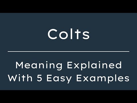 What Does Color Mean? Color Meaning in English With 5 Example Sentences
