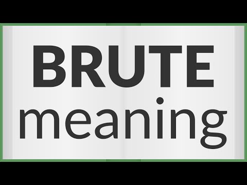 Brute | meaning of Brute
