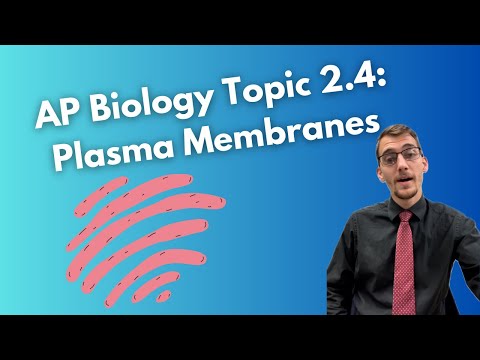 2.4 Plasma Membranes - AP Biology