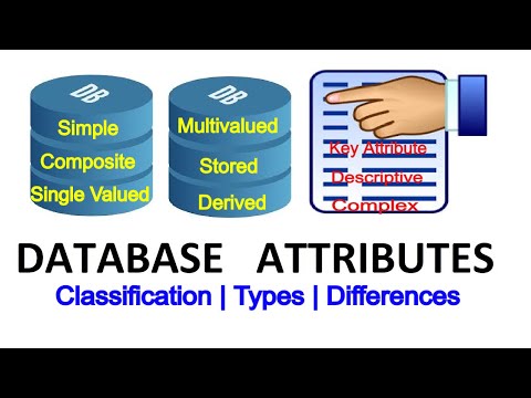 Database Attributes | Types of Attributes | Classification of Attributes | Categories of Attributes