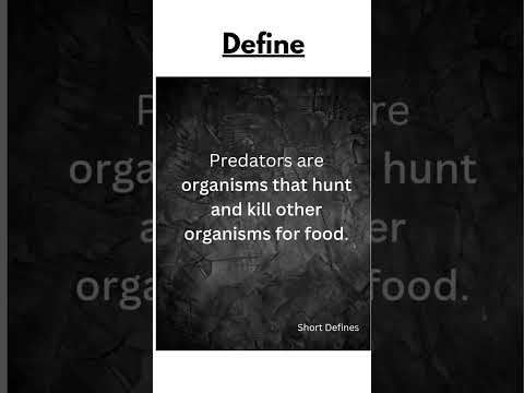 Define predators