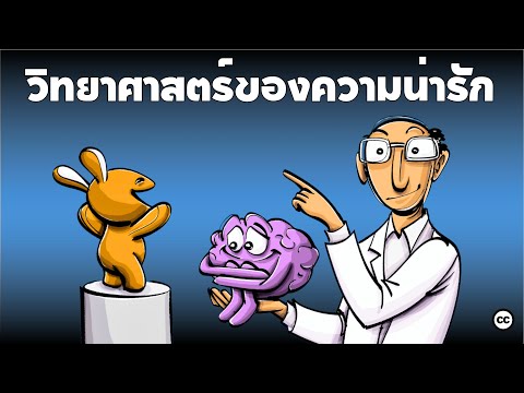 Baby Schema : วิทยาศาสตร์ของความน่ารัก