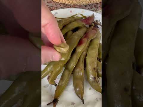 What Do You Call These In Your Language? Fava Beans or Broad Beans in English? #favabeans #wow