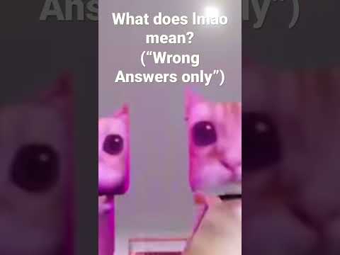 What does lmao mean? #memes #goofy #funny