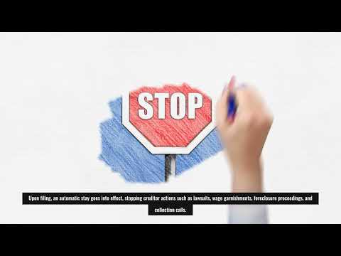 How Bankruptcy Works