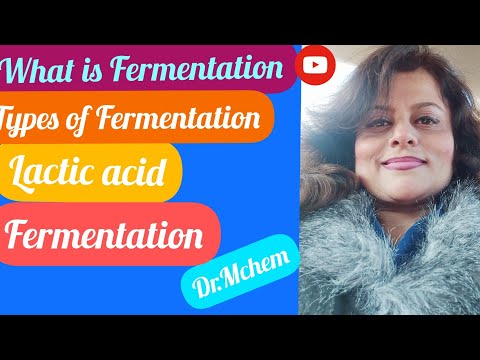 What is Fermentation| Types of Fermentation |Lactic acid fermentation |