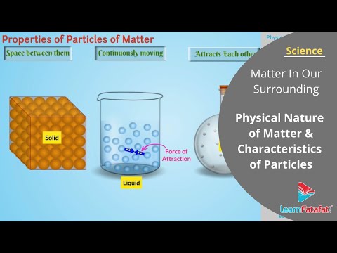 Physical Nature of Matter and Characteristics of Particles Video ...