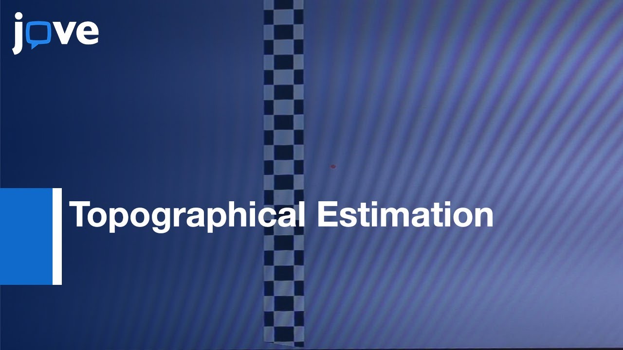 Topographical Estimation Of Visual Population Receptive Fields by fMRI l Protocol Preview