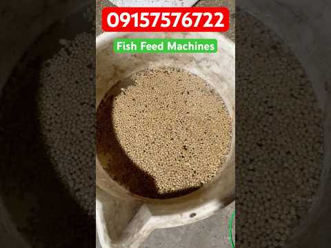 Best Floating Fish Feed Machine ???? | Fish Feed Extruder & Pellet Maker | India's Top Manufacturer