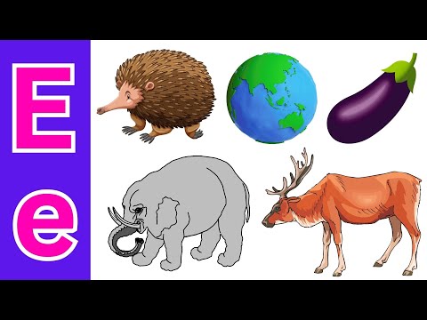 E For Words In English | Words That Start With E | E Words Vocabulary, E Letter Words For Kids