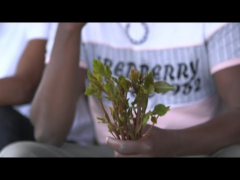 In Ethiopia, a rehab centre takes on khat addiction | Somaliland Standard