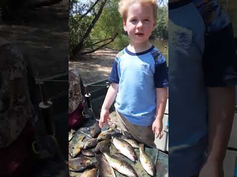 Big Bream and Bass on Escambia river this morning!!!