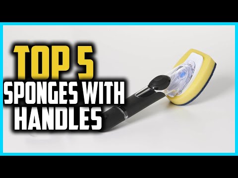 ✅Top 5 Best Sponges With Handles in 2025