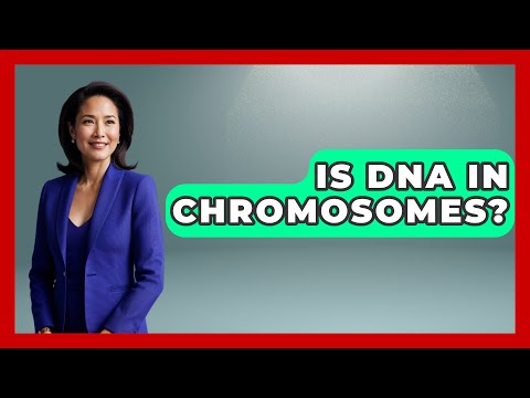 Is DNA In Chromosomes? - Biology For Everyone