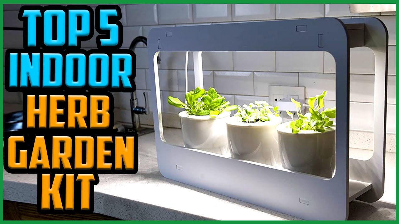 Top 5 Best Indoor Herb Garden Kit | Hydroponic System | Buying Guide