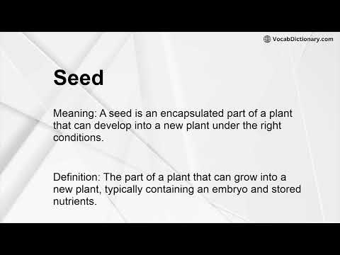 Seed Meaning