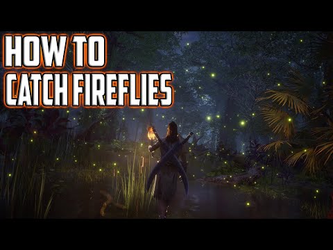 Steam Community :: Video :: Soulmask - How To Catch Fireflies