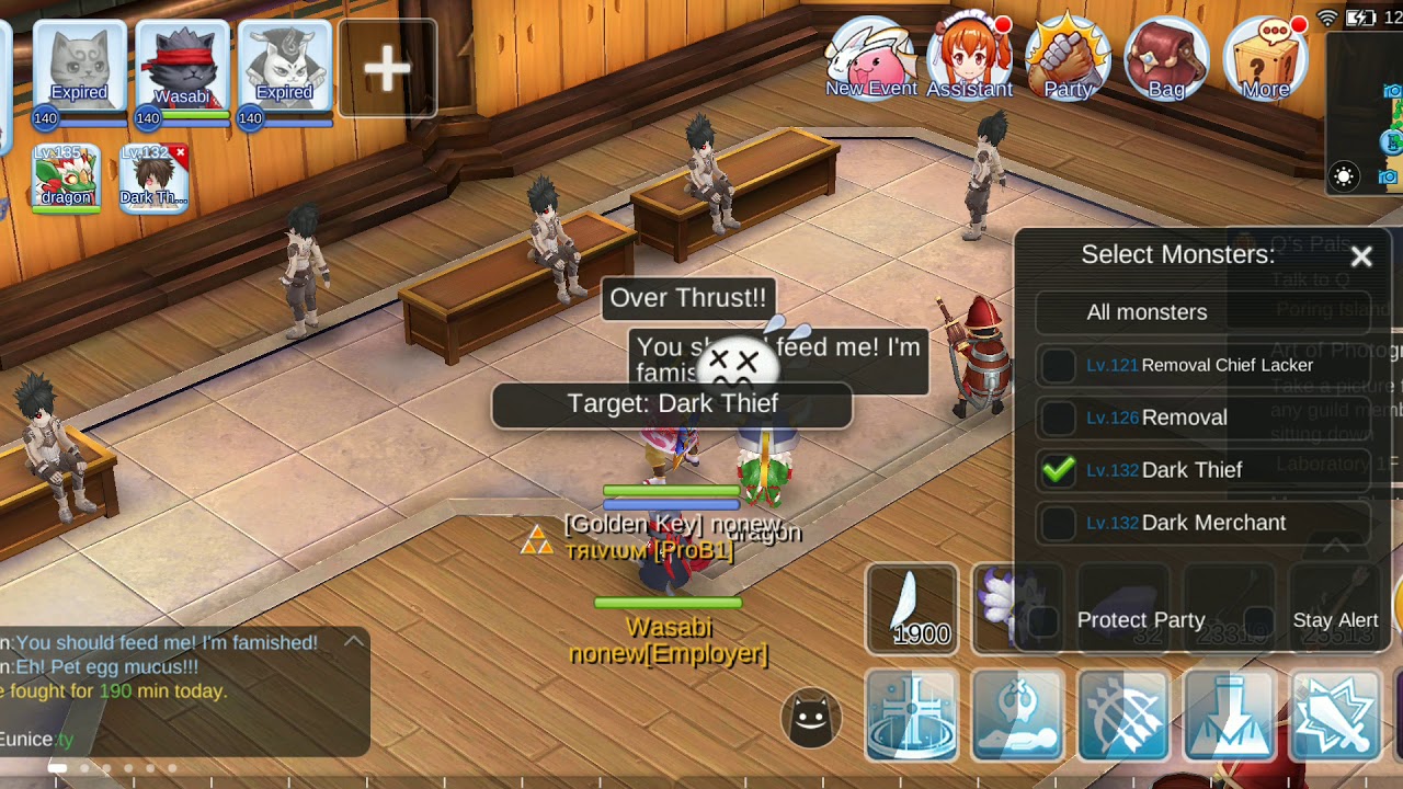 Shadow Chaser Bow build STR bug